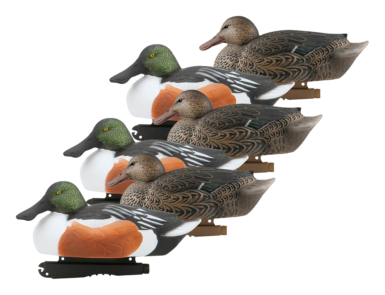 GHG Over Size Shoveler Duck Decoys 6 Pack | Cabela's